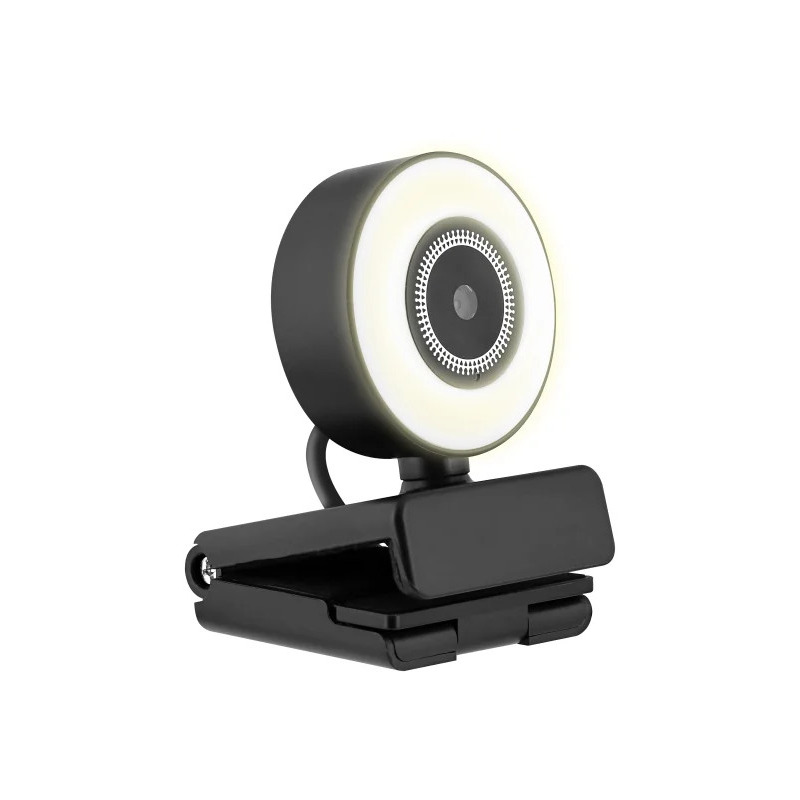 Camera Web TnB Influence Streamer + Ring Light - PC Garage